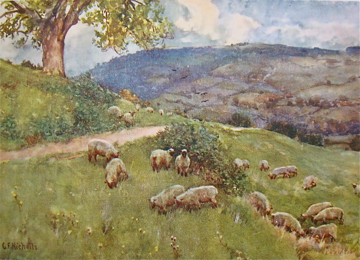 Lambie-Pie Cuddle-Bunch | Susan Branch Blog