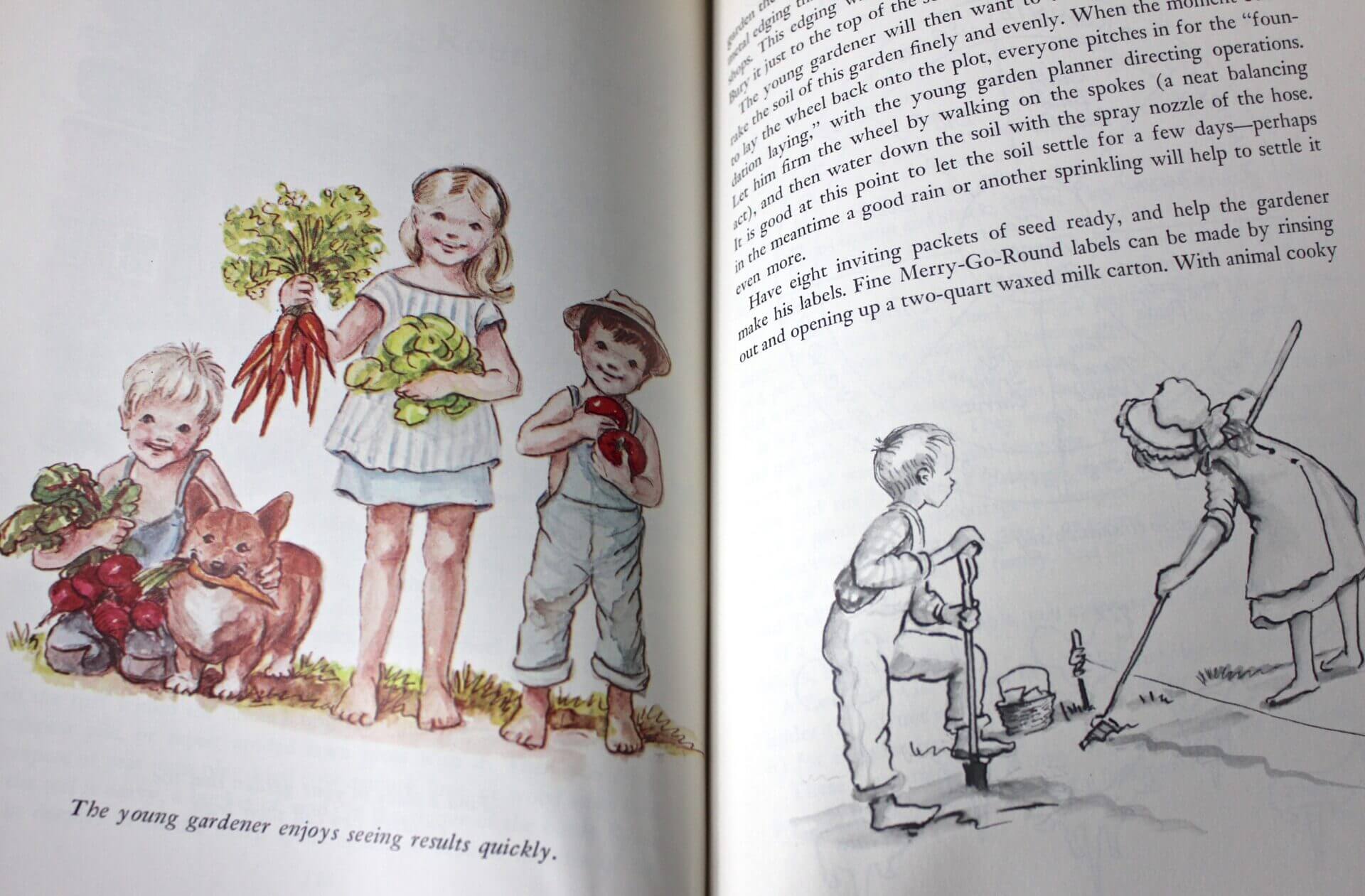 Tasha Tudor Illustrations | Susan Branch Blog