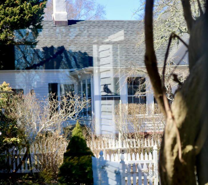 Susan Branch Blog | Susan Branch Blog | Page 13