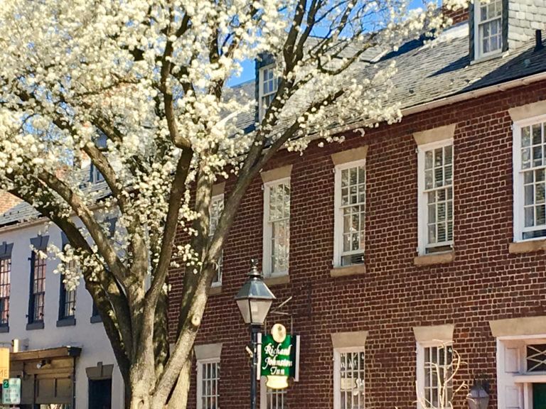 Susan Branch Blog | Susan Branch Blog | Page 27