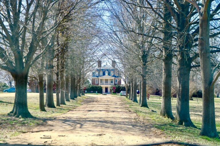 Susan Branch Blog | Susan Branch Blog | Page 27