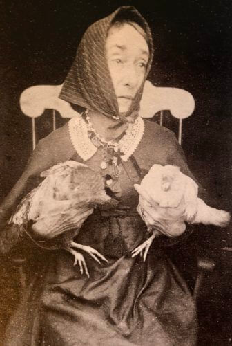 Susan Branch Blog | Susan Branch Blog | Page 27