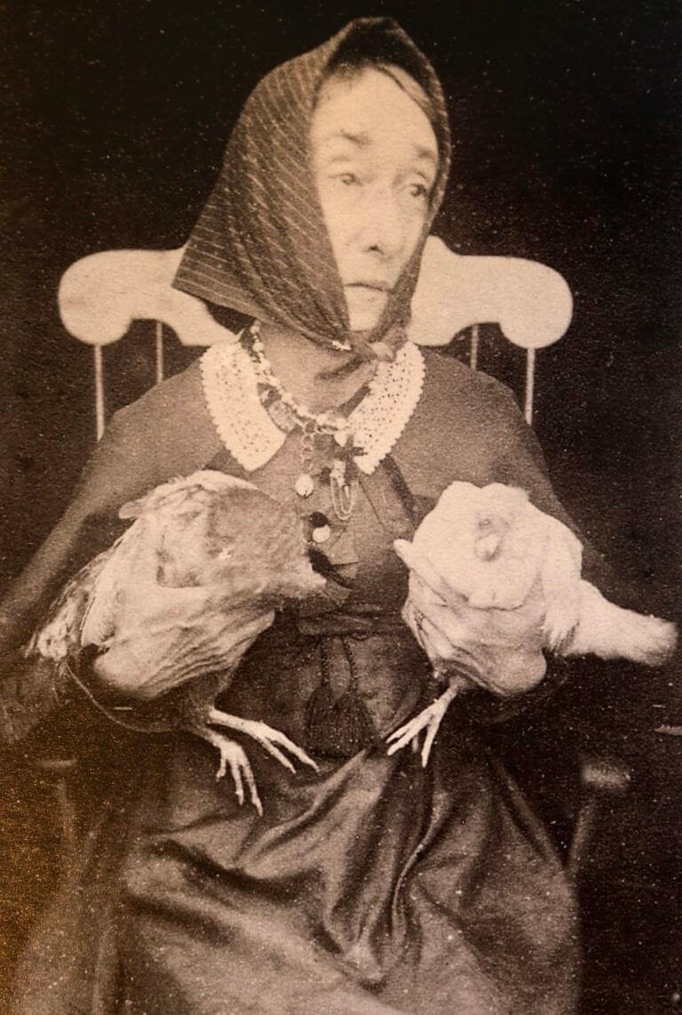 Susan Branch Blog | Susan Branch Blog | Page 27