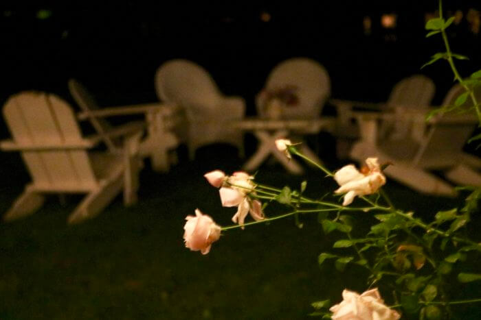 Susan Branch Blog | Susan Branch Blog | Page 16