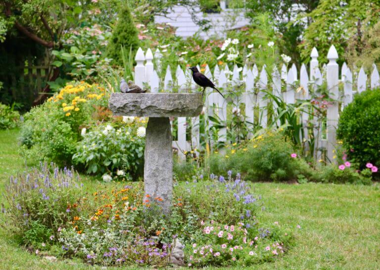 Susan Branch Blog | Susan Branch Blog | Page 23