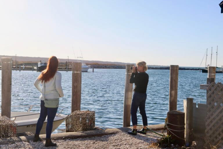 Susan Branch Blog | Susan Branch Blog | Page 22