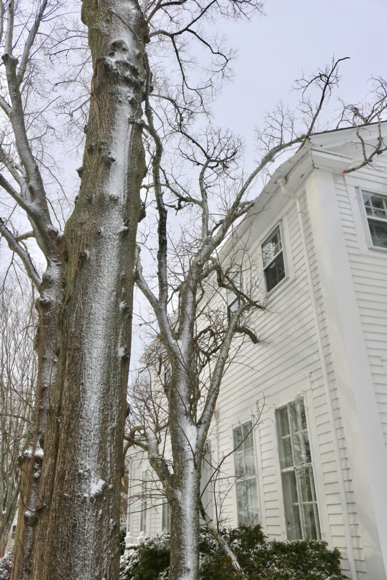 Susan Branch Blog | Susan Branch Blog | Page 16