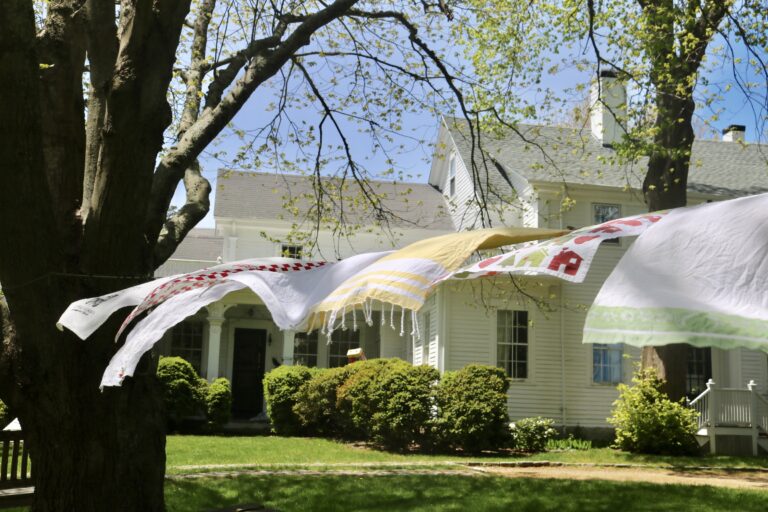 Susan Branch Blog | Susan Branch Blog | Page 16