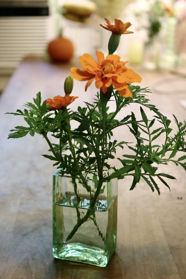 Susan Branch Blog | Susan Branch Blog | Page 7