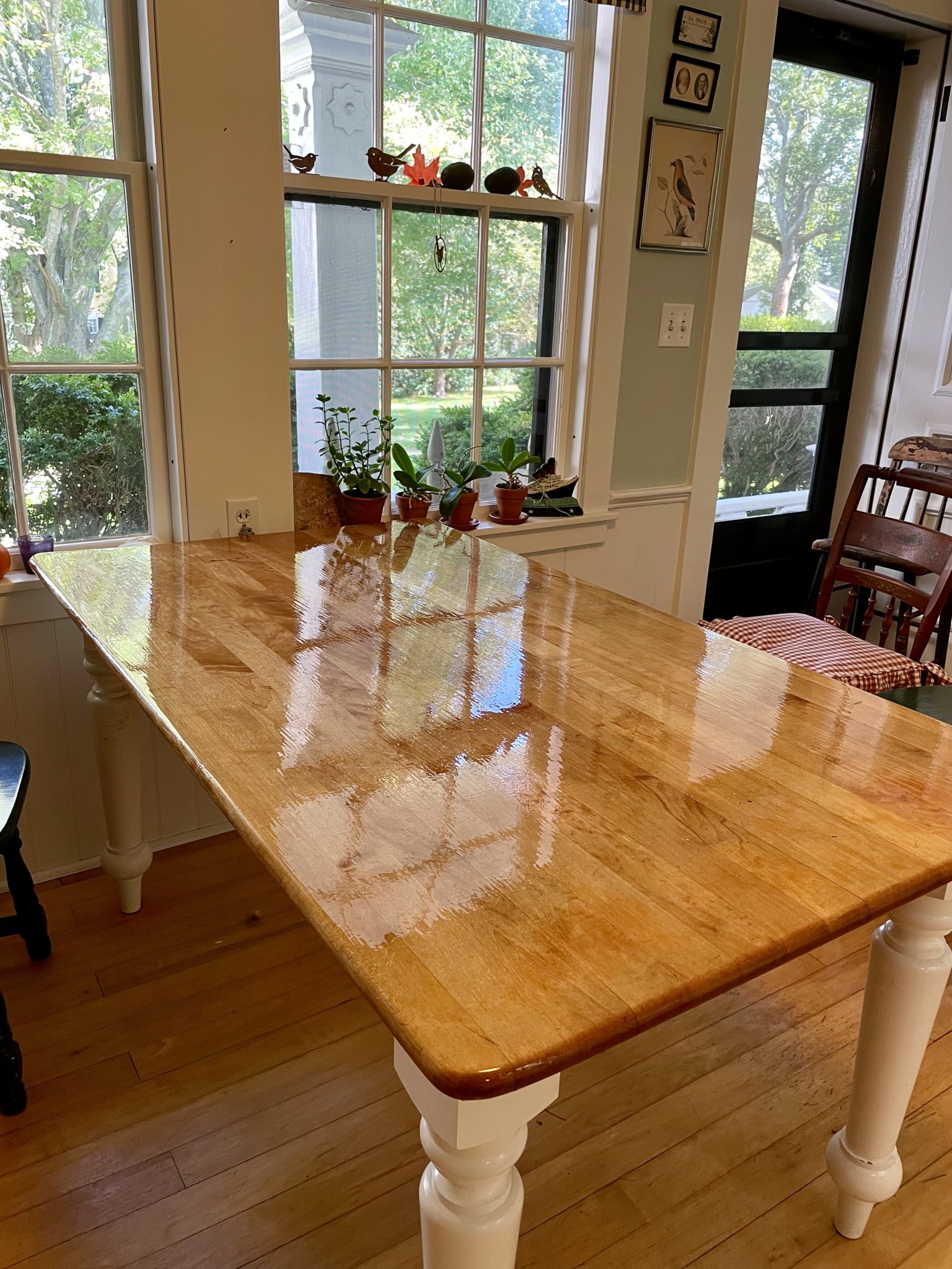 Susan Branch Blog | Susan Branch Blog | Page 7