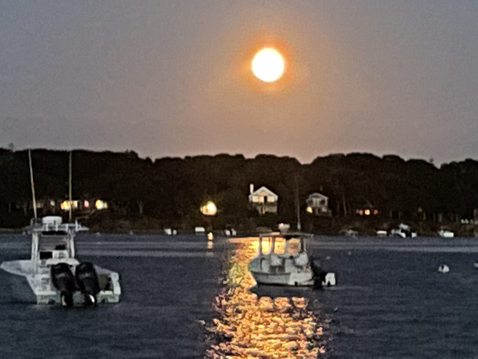 Susan Branch Blog | Susan Branch Blog | Page 7