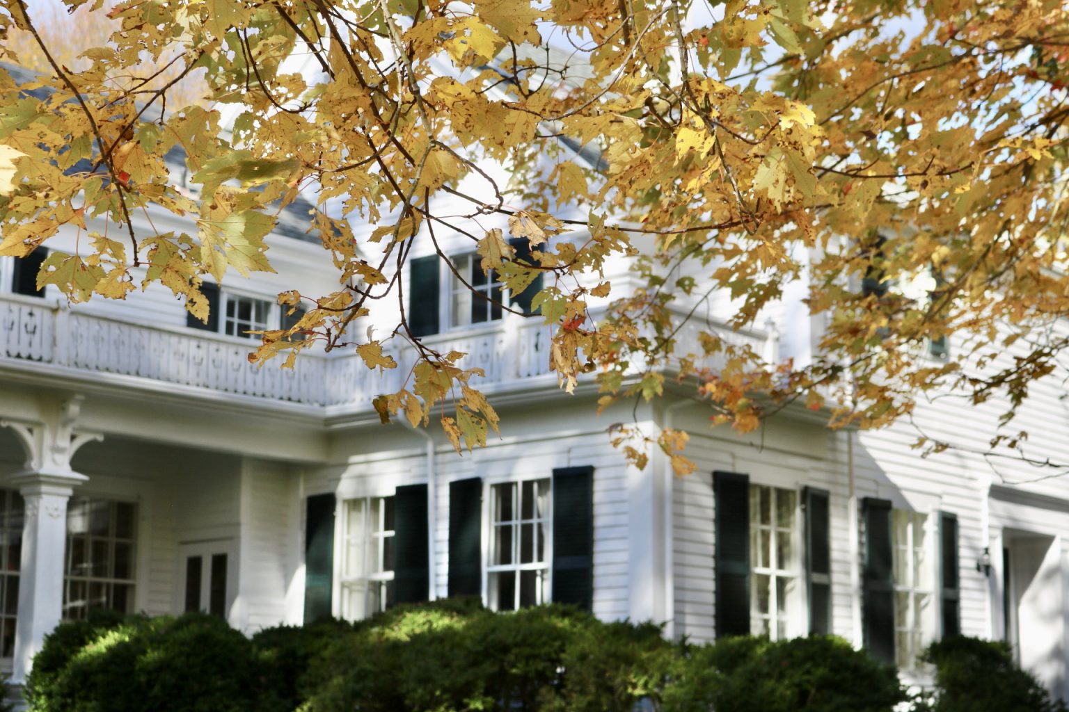 Susan Branch Blog | Susan Branch Blog | Page 6