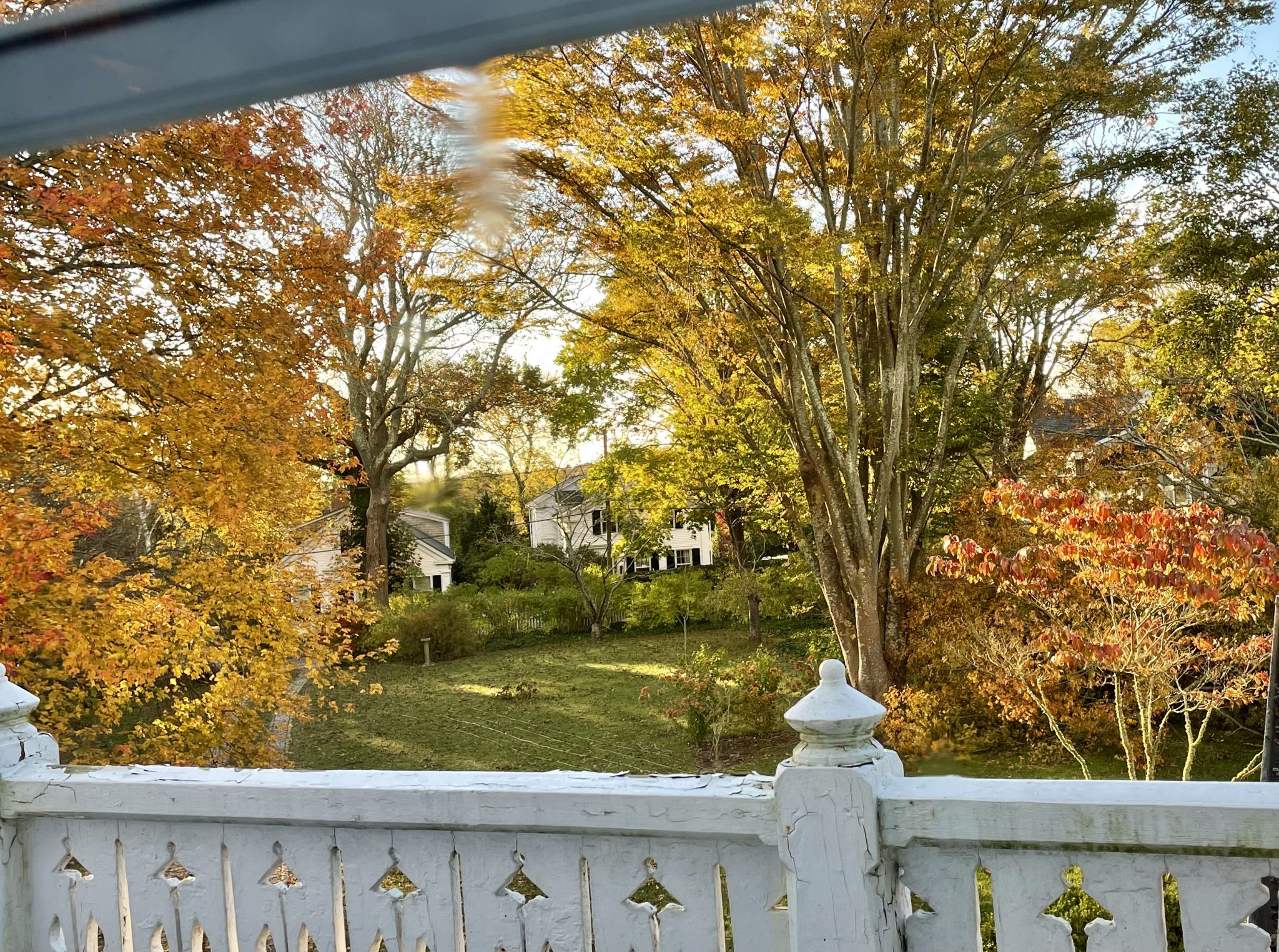 Susan Branch Blog | Susan Branch Blog | Page 6