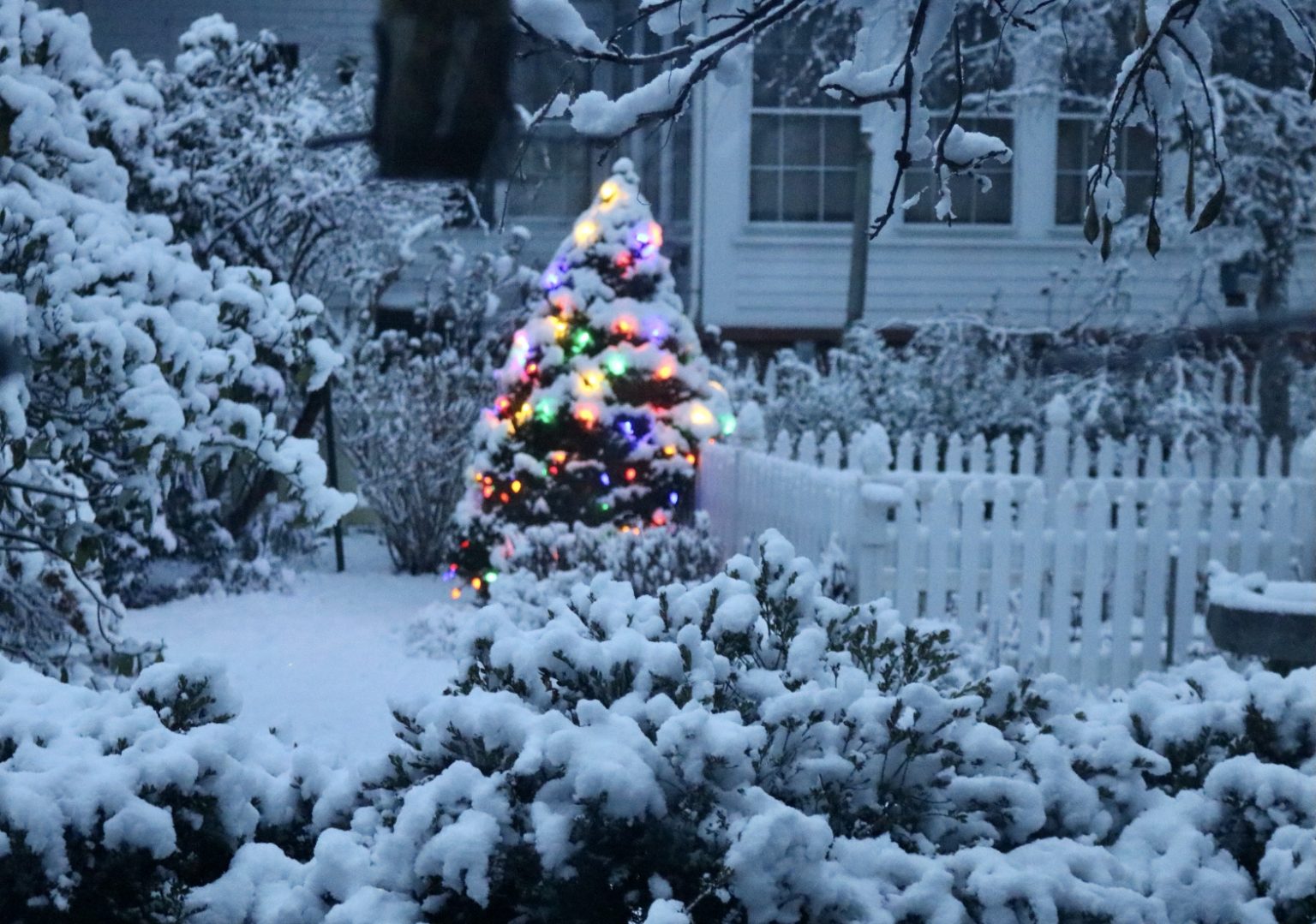 Susan Branch Blog | Susan Branch Blog | Page 5