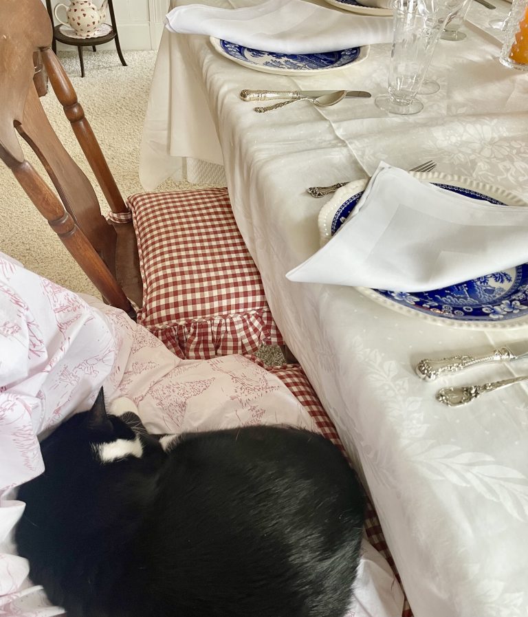 Susan Branch Blog | Susan Branch Blog