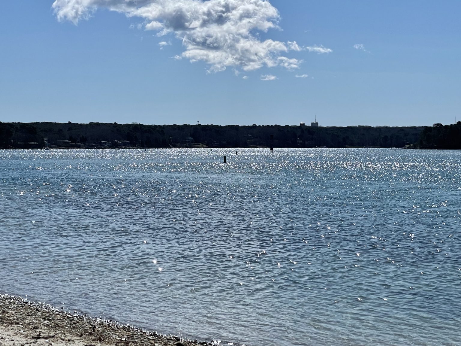 Susan Branch Blog | Susan Branch Blog