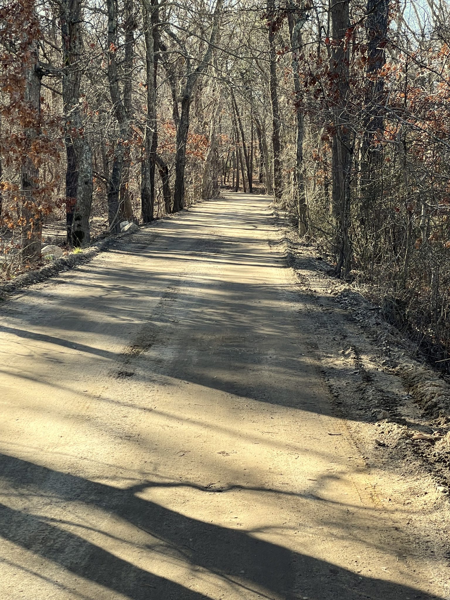 Susan Branch Blog | Susan Branch Blog