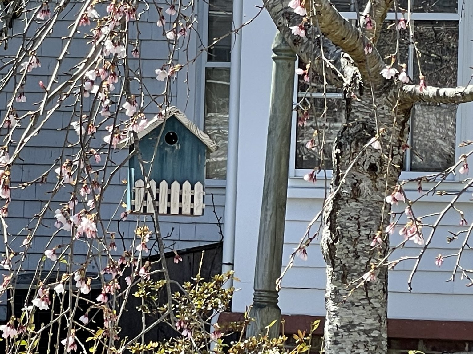 Susan Branch Blog | Susan Branch Blog | Page 3