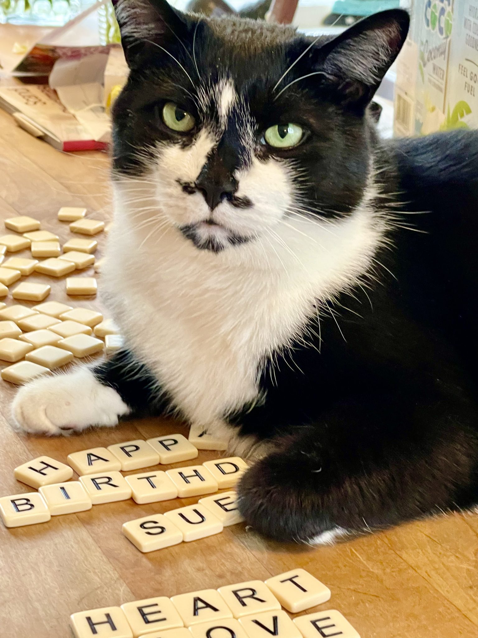 Susan Branch Blog | Susan Branch Blog | Page 3