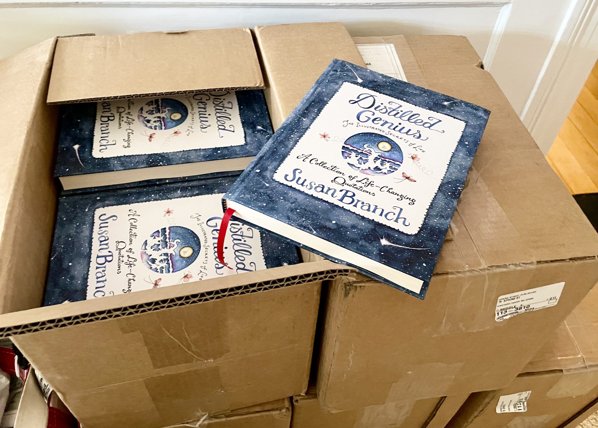 Susan Branch Blog | Susan Branch Blog