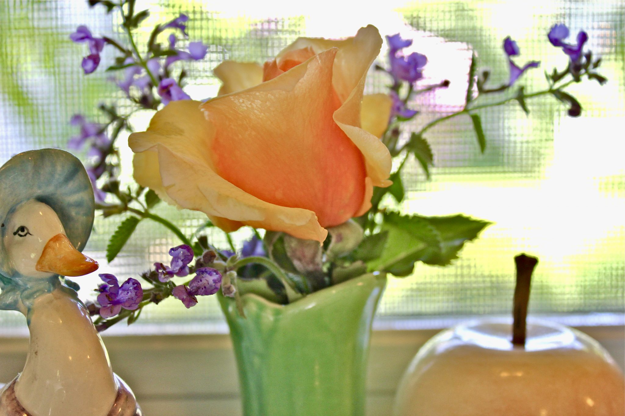 Susan Branch Blog | Susan Branch Blog